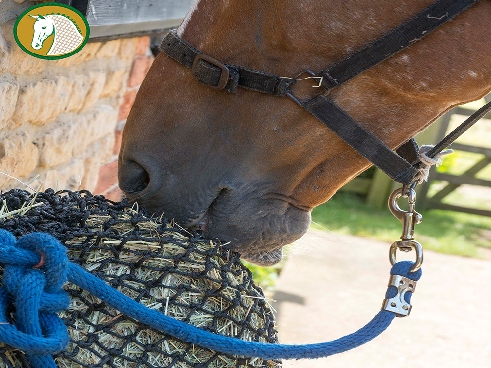 TRACK SYSTEMS – WHAT ARE THEY?