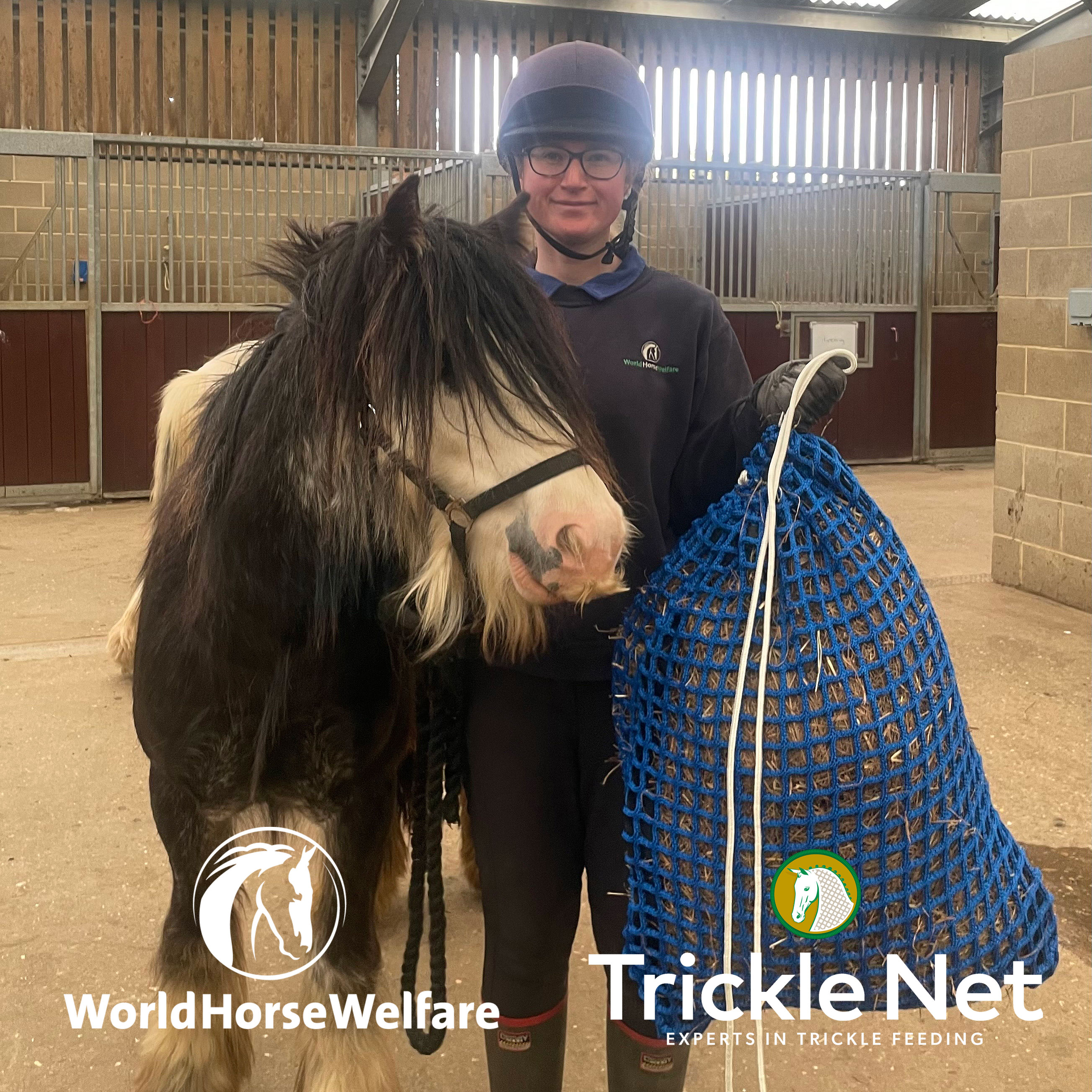 Trickle Net's Successful May World Horse Welfare Campaign
