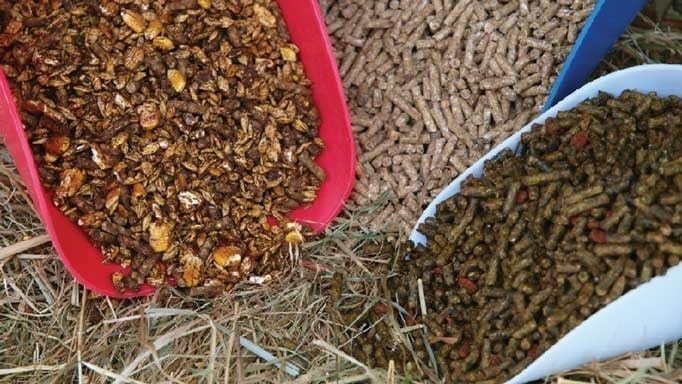 REMEMBER THE GOLDEN RULES OF FEEDING?